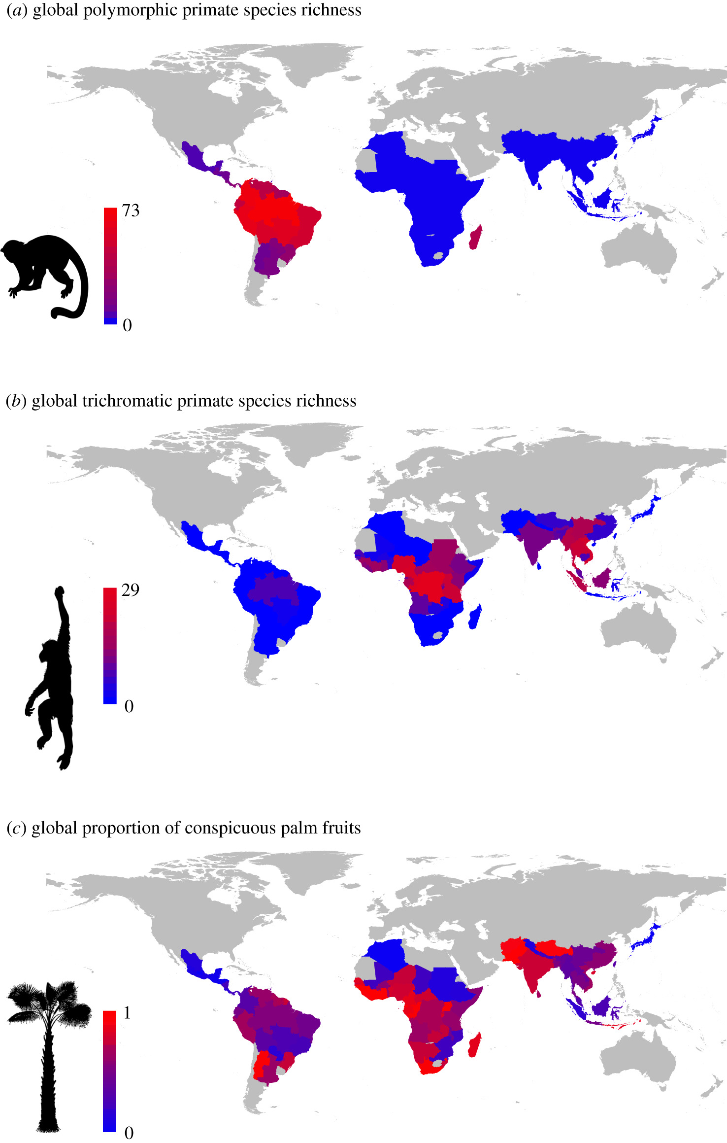 Red in tooth and claw: primate color vision evolved to see red when ...